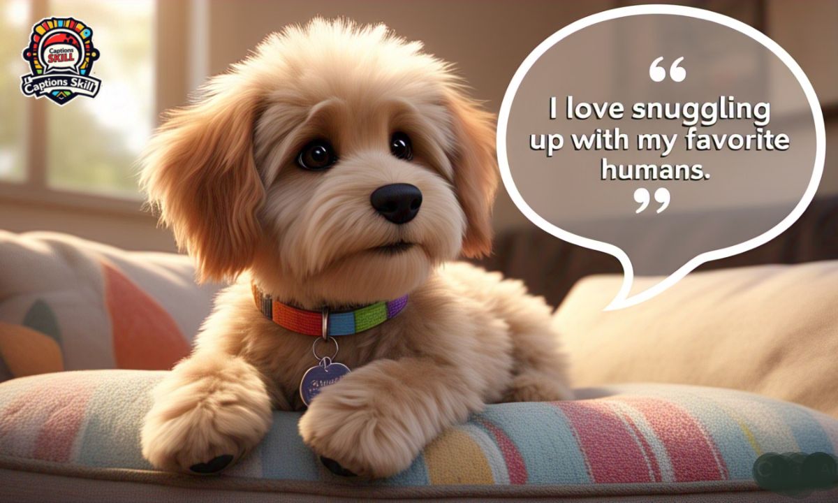 200+ Dog Quotes For Social Media Posts